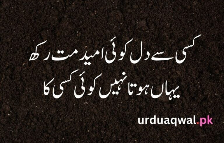 Sad Poetry in Urdu for life 2025 - sad poetry urdu 2 lines