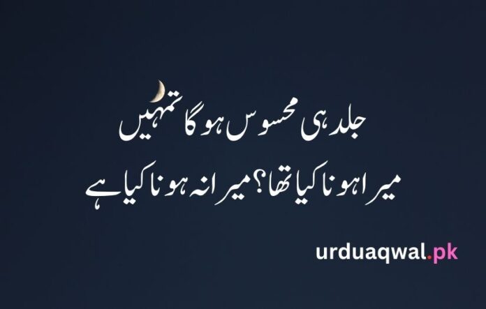 Best 50+ 1 line poetry in urdu - One line sad poetry in urdu