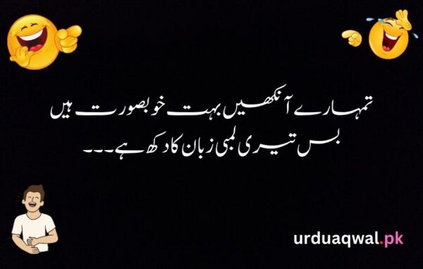 Best 50+ Funny poetry in urdu - Funny jokes in urdu
