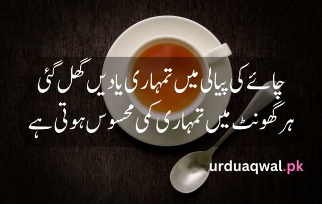 Chaye poetry in urdu - Chai poetry in urdu sms