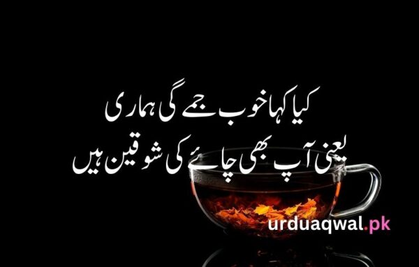 Chaye poetry in urdu - Chai poetry in urdu sms