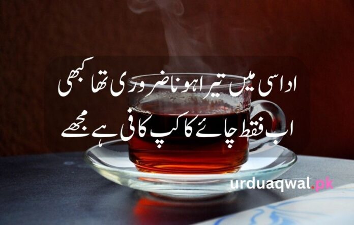 Chaye poetry in urdu - Chai poetry in urdu sms