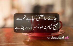 Chaye poetry in urdu - Chai poetry in urdu sms
