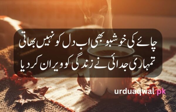 Chaye poetry in urdu - Chai poetry in urdu sms