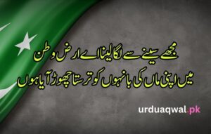 Best 50+ 14 August poetry - Azadi Ki Urdu Shayari