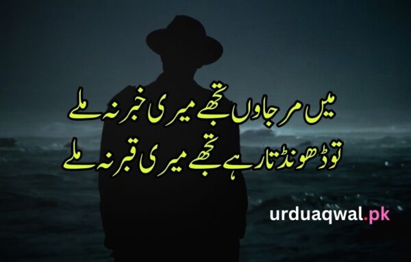 Best 20+ Deep Shayari in Urdu - Urdu Aqwal