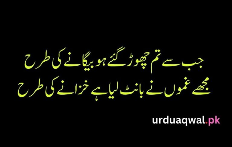 Best 20+ Deep Shayari in Urdu - Urdu Aqwal