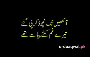 Best 20+ Deep Shayari in Urdu - Urdu Aqwal