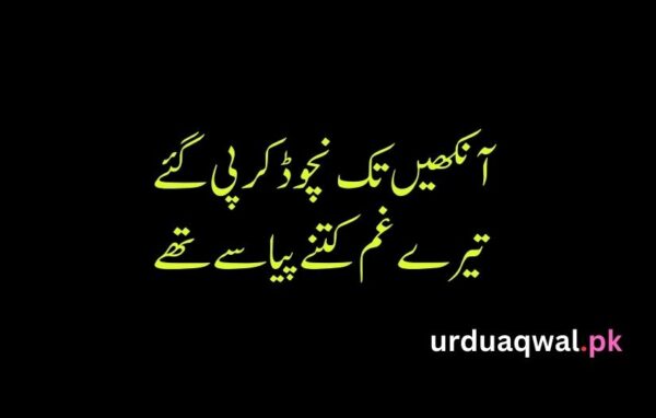 Best 20+ Deep Shayari in Urdu - Urdu Aqwal