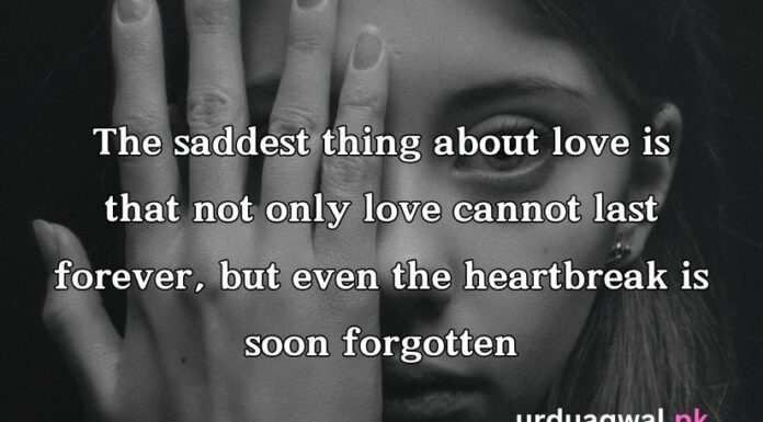 Home - Urdu Aqwal e Zareen